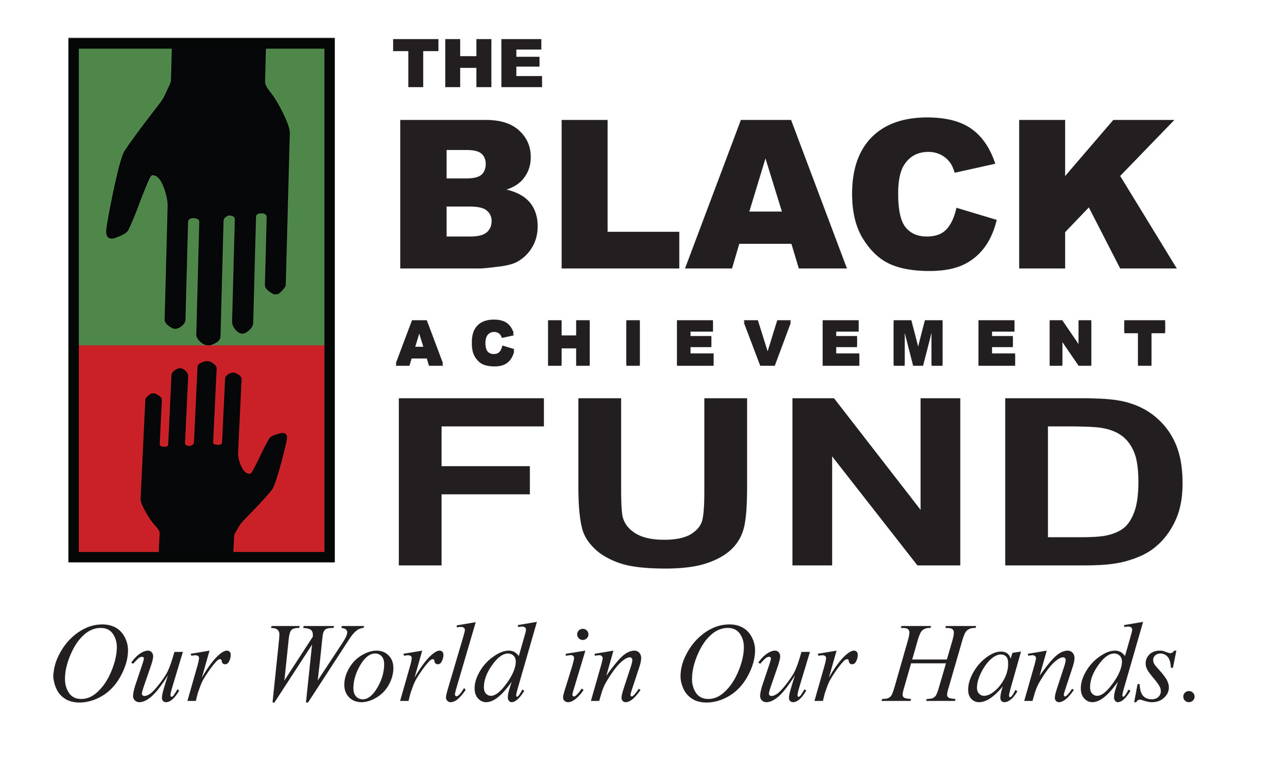 Dr. Ray Hagins Bio | The Black Achievement Fund