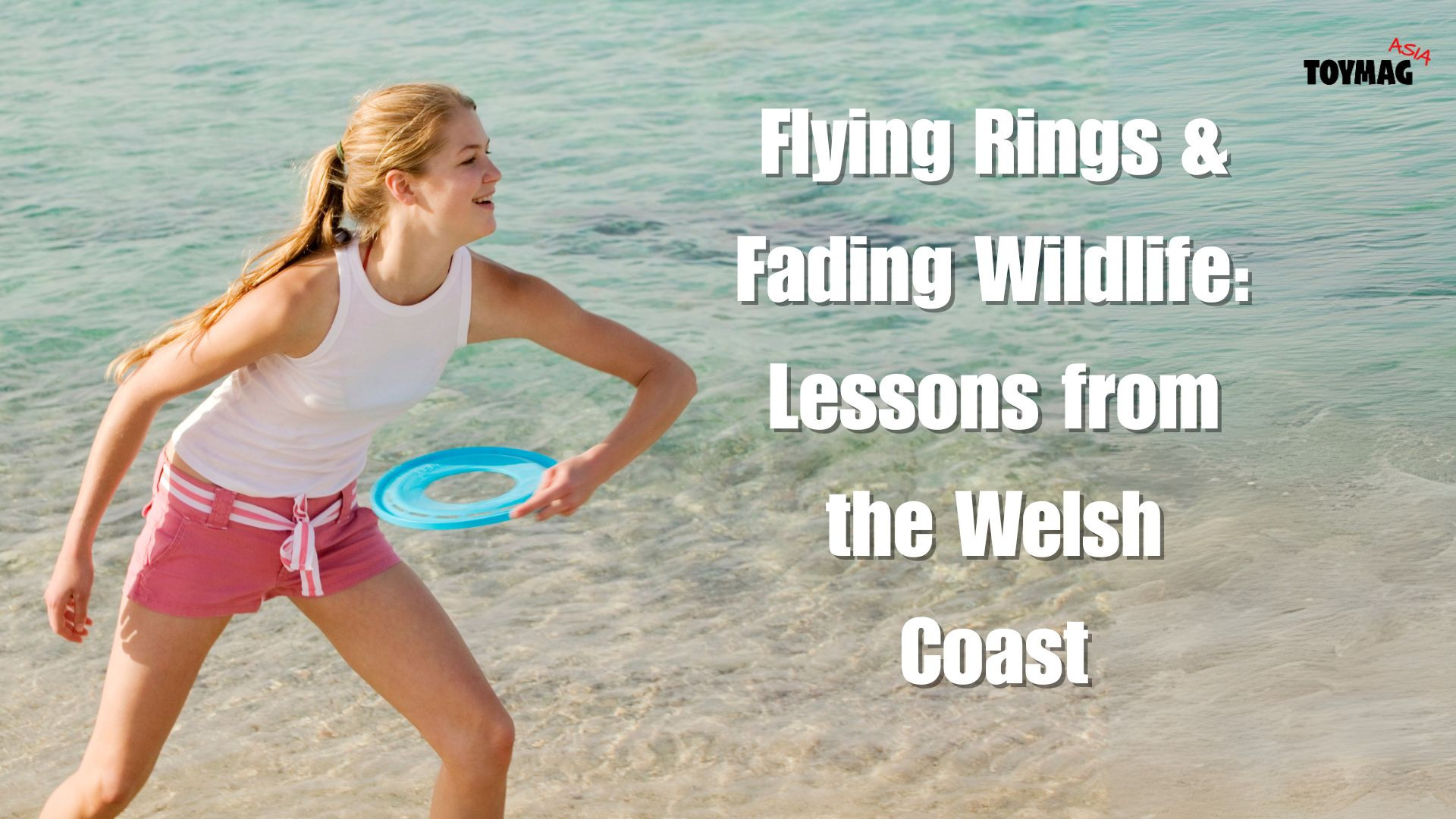Flying Rings & Fading Wildlife: Lessons from the Welsh Coast