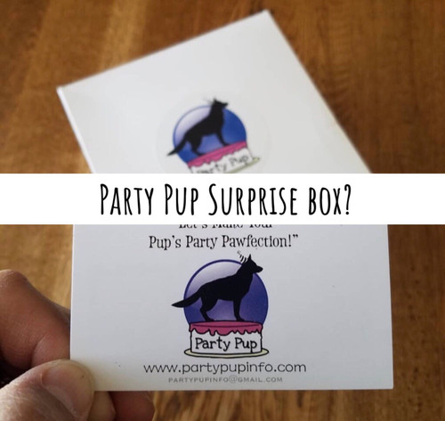 Party Pup Surprise Box (mix of 6) | Www.partypupinfo.com