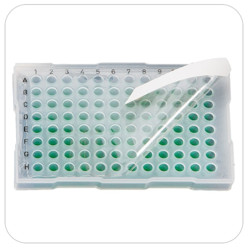 Sealing | רדידי איטום PCR למעבדה- Yarden Biotec