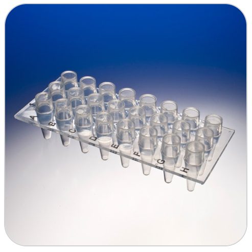 24-Well and 48-Well Plates | פלטות PCR למעבדה 24 / 48 שקעים- Yarden Biotec