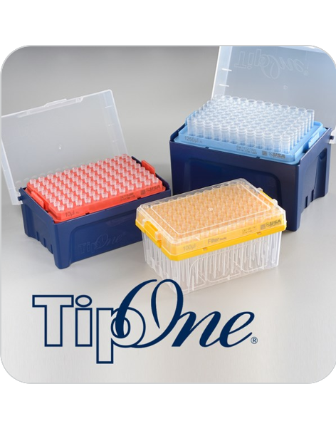 TipOne® Pipette Tips | טיפים בקופסאות למילוי חוזר- Yarden Biotec