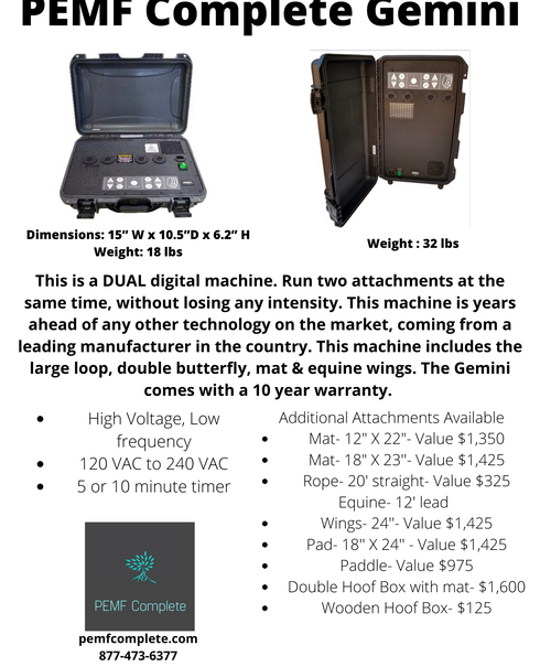 The Gemini | PEMF Complete Machines | KT PEMF Performance