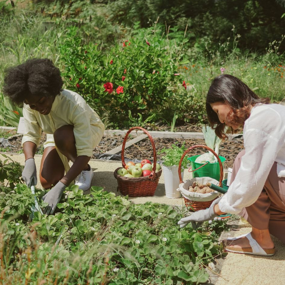 The Changemaker | Museum of Food and Culture