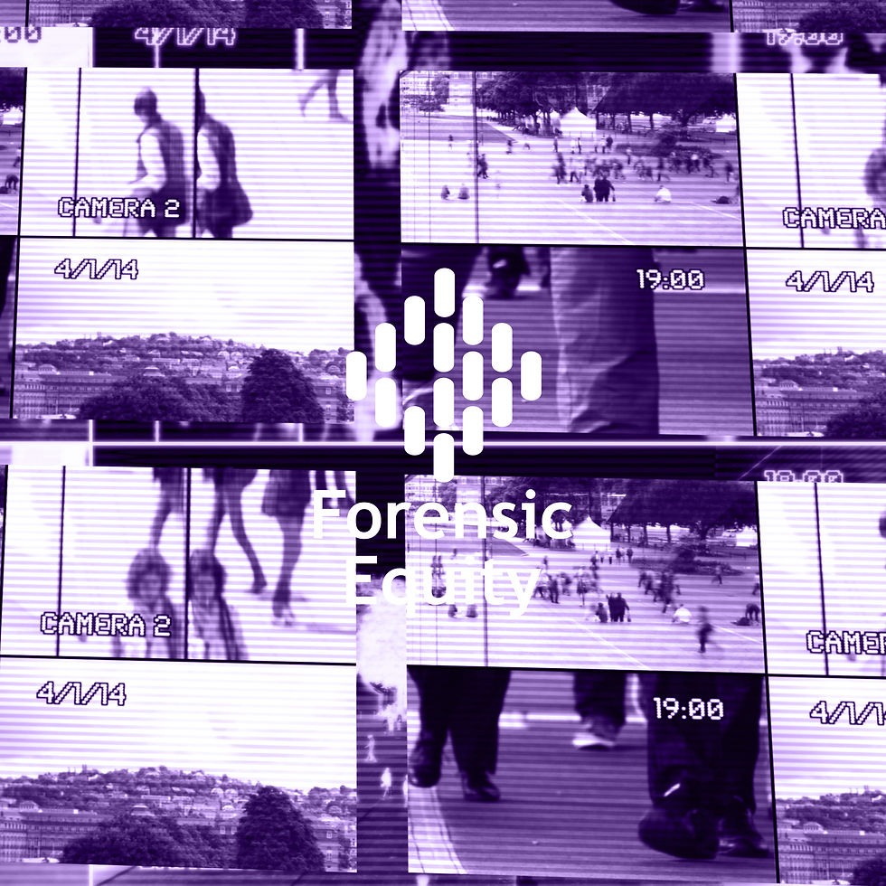 Forensic Equity - The Forensic Experts