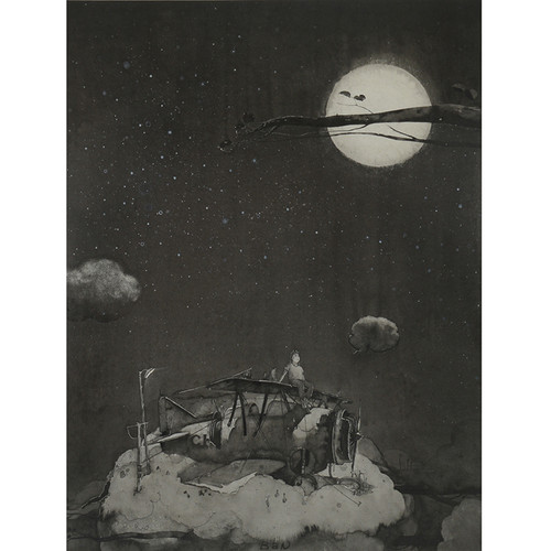BIPLANE & FULL MOON - ink painting 2 | OVO