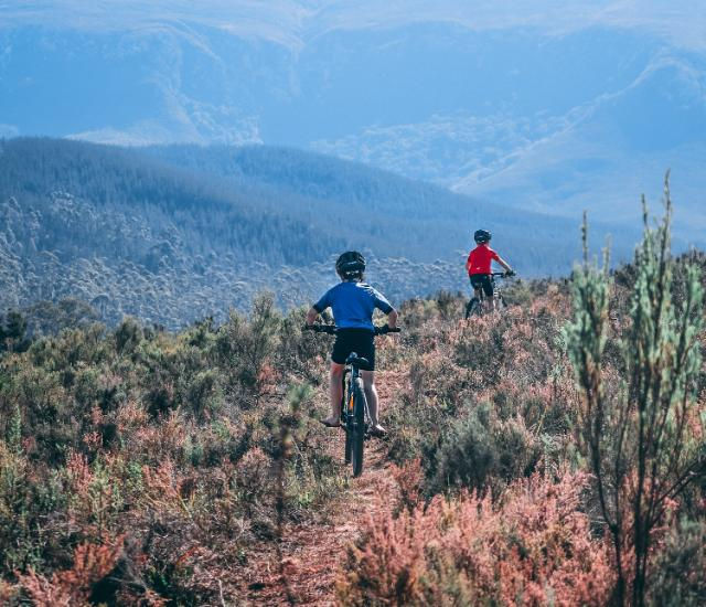 Mountain Bike Trails in Swellendam | Top things to do