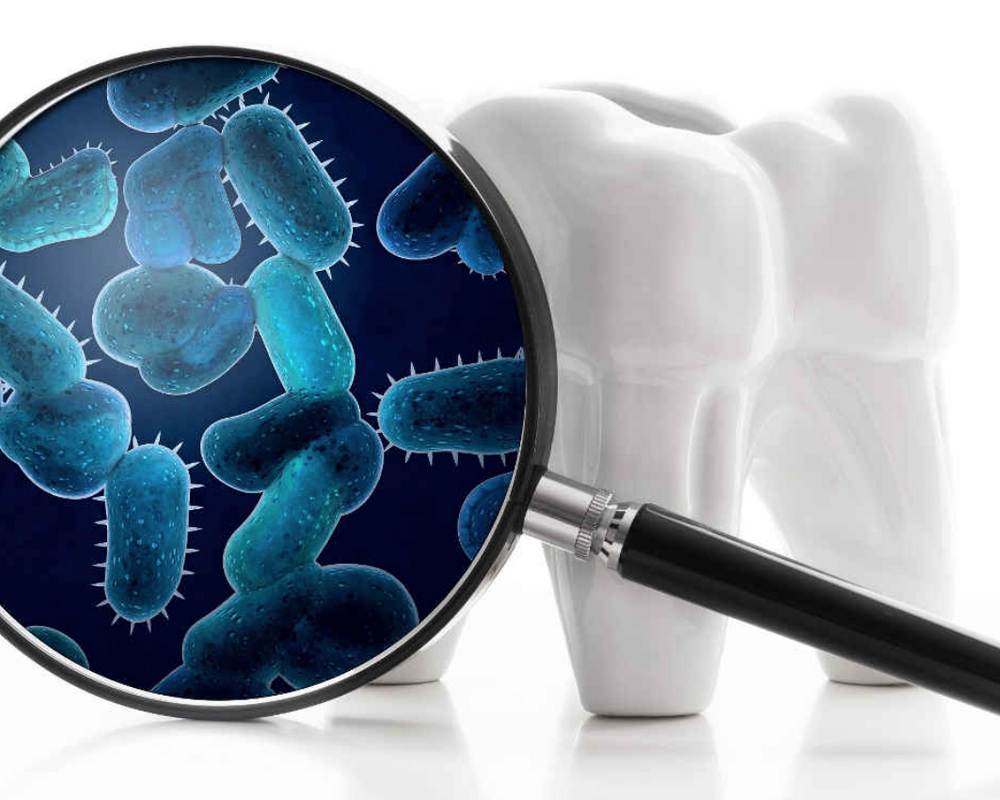 Cross Infection Control | Dental Training Ltd