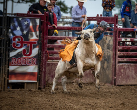 Fair | Jay County Fairgrounds | Indiana
