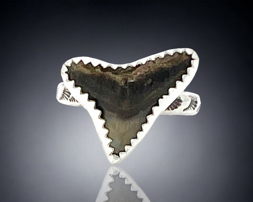 Size 8.5 sterling silver reef shark tooth ring handmade ...
