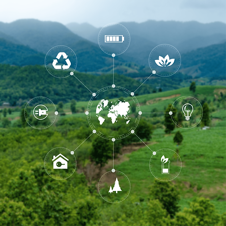 Innovative Circular Economy Solutions | Recycling Companies in UAE ...