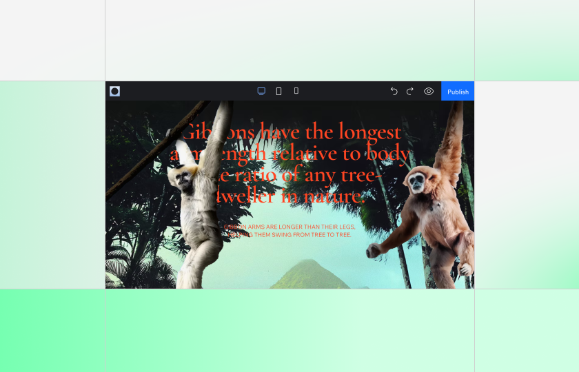 How to add Loop animations on Wix Studio