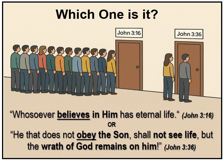 John 3:16 and the Feminization of the Church! – Part #1