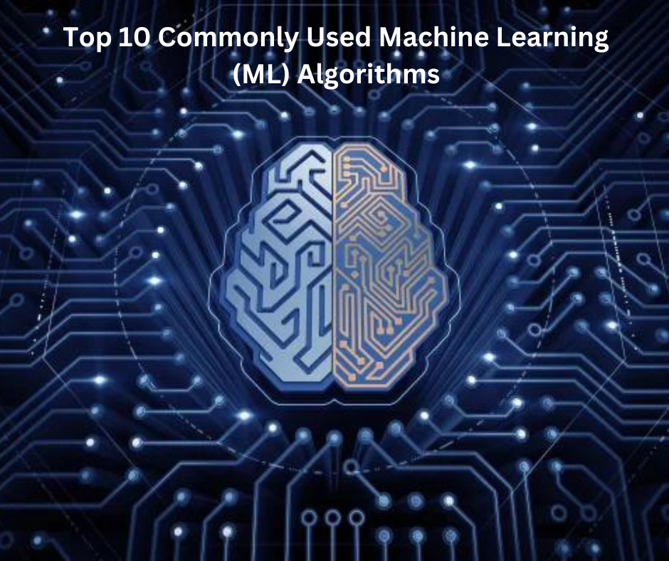 Top 10 Commonly Used Machine Learning (ML) Algorithms