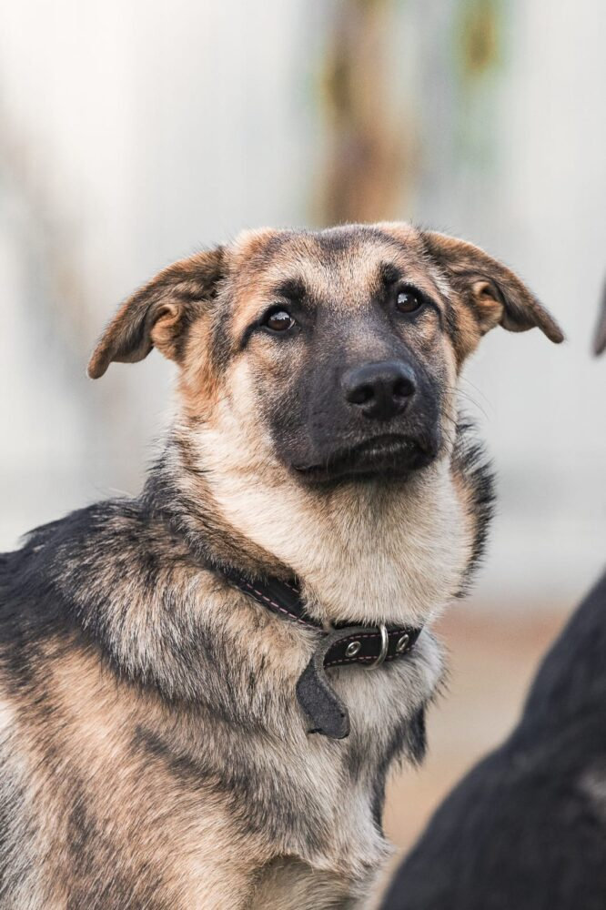 Maya een lieve schat!-