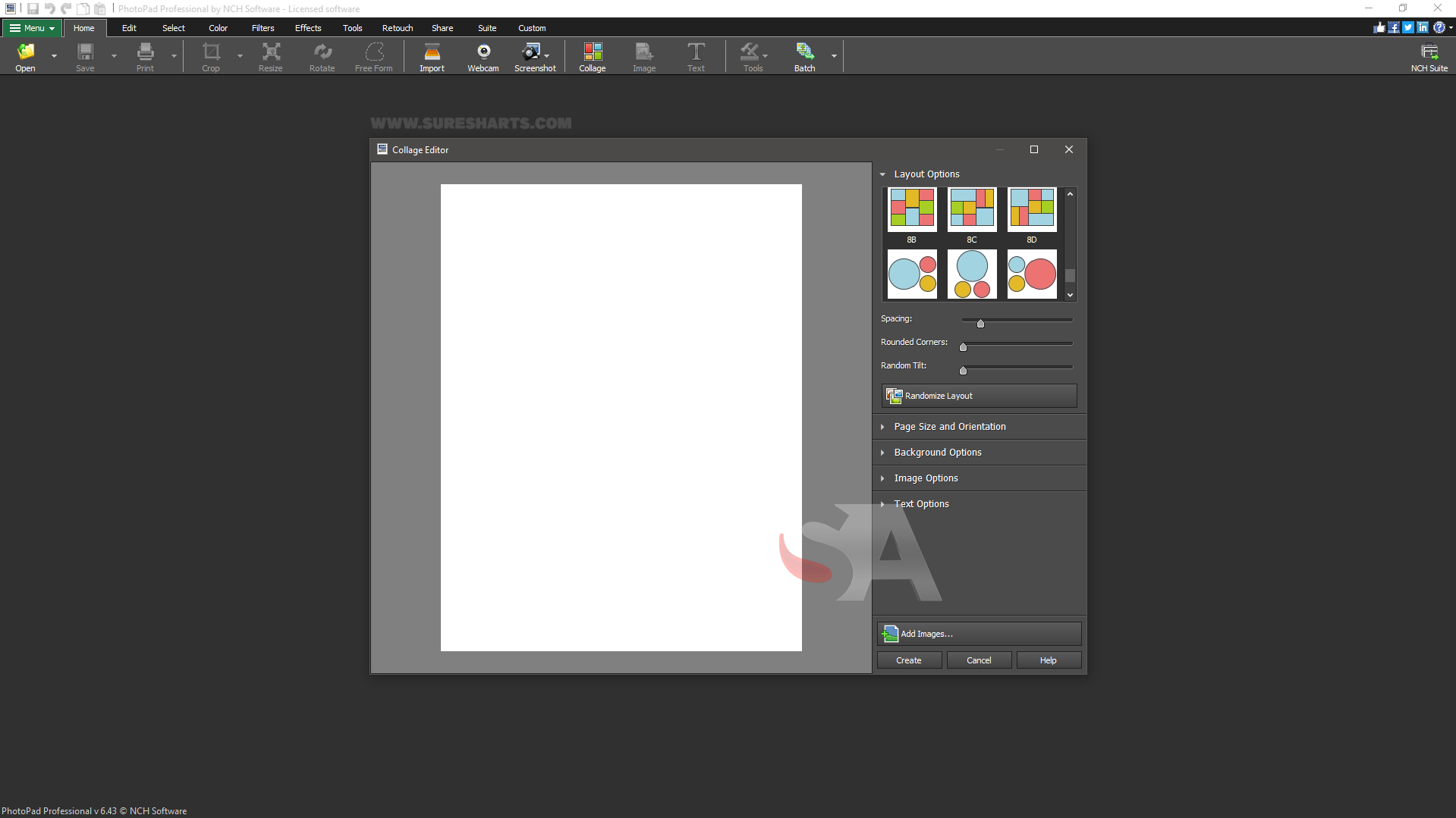 Make black and white effect on photopad image editor - riogree