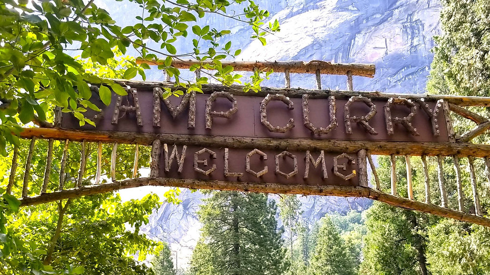 Welcome to Camp Curry!