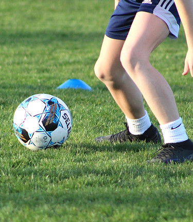 SAQ Training | MI Stars Lightning