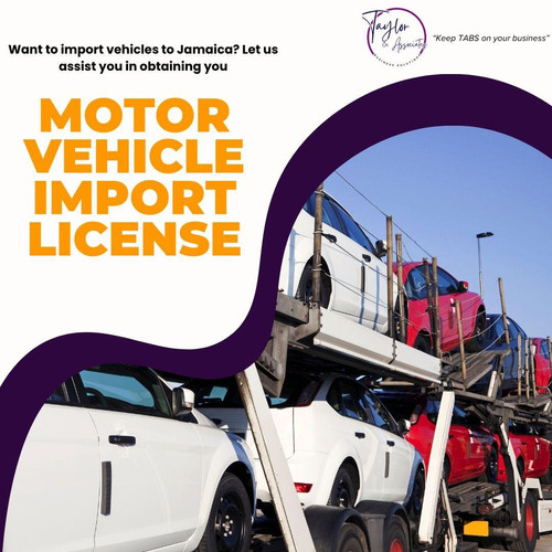 Motor Vehicle Import License | TABS