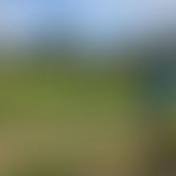 Articles | zzapp malaria