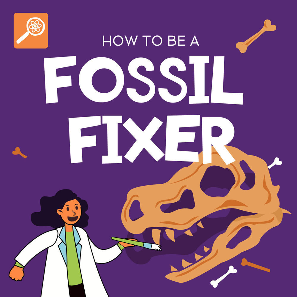 How To Be A Fossil Fixer