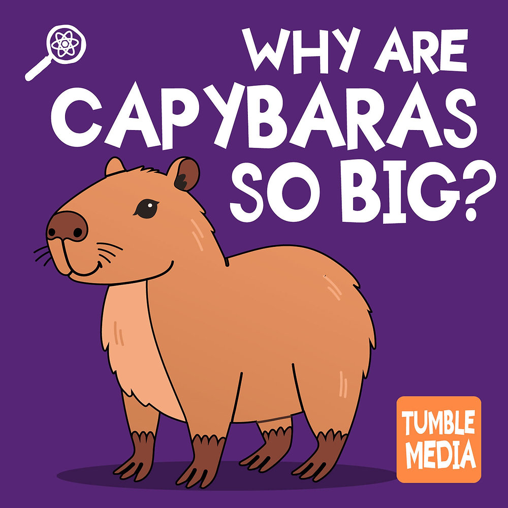 Why Are Capybaras So Big?