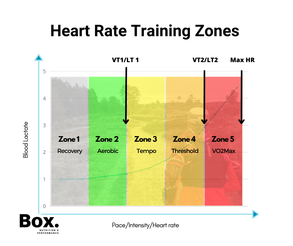 From Numbers to Performance: Implementing Your Heart Rate Training ...