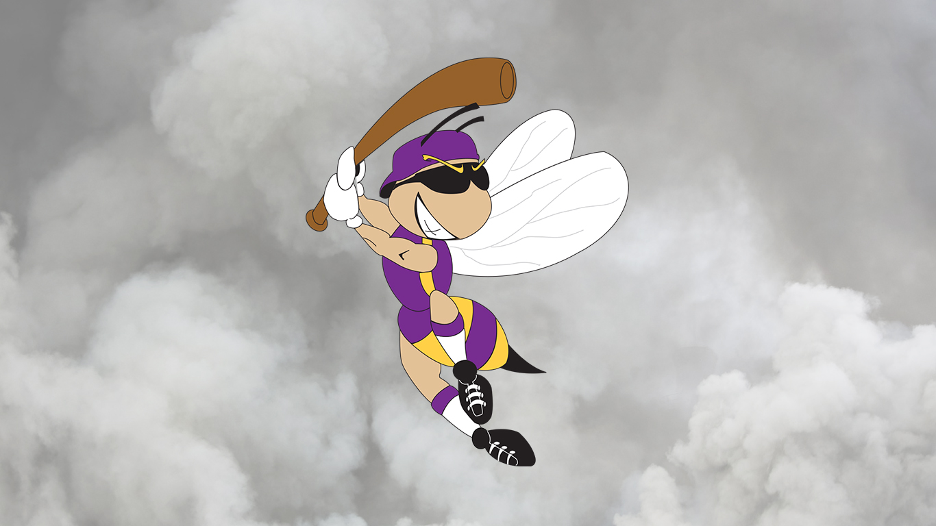 San Jose Sting - Girls Fastpitch Softball Organization in California