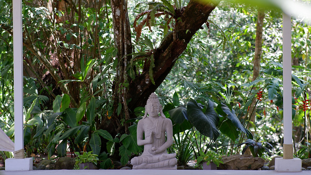 The Story of The Shala