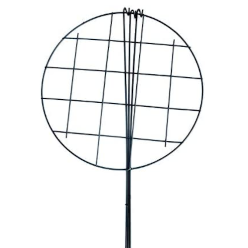 16 Grow-Through Ring | Alternative Landscaping LTD. Brandon, MB