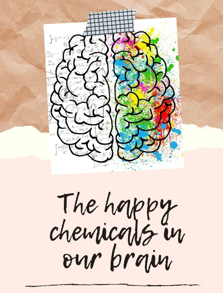 The Happy Chemicals in Our Brain