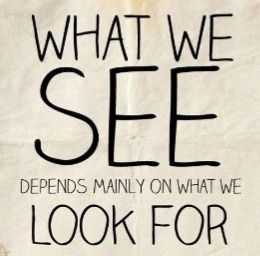 What Are You Looking For?