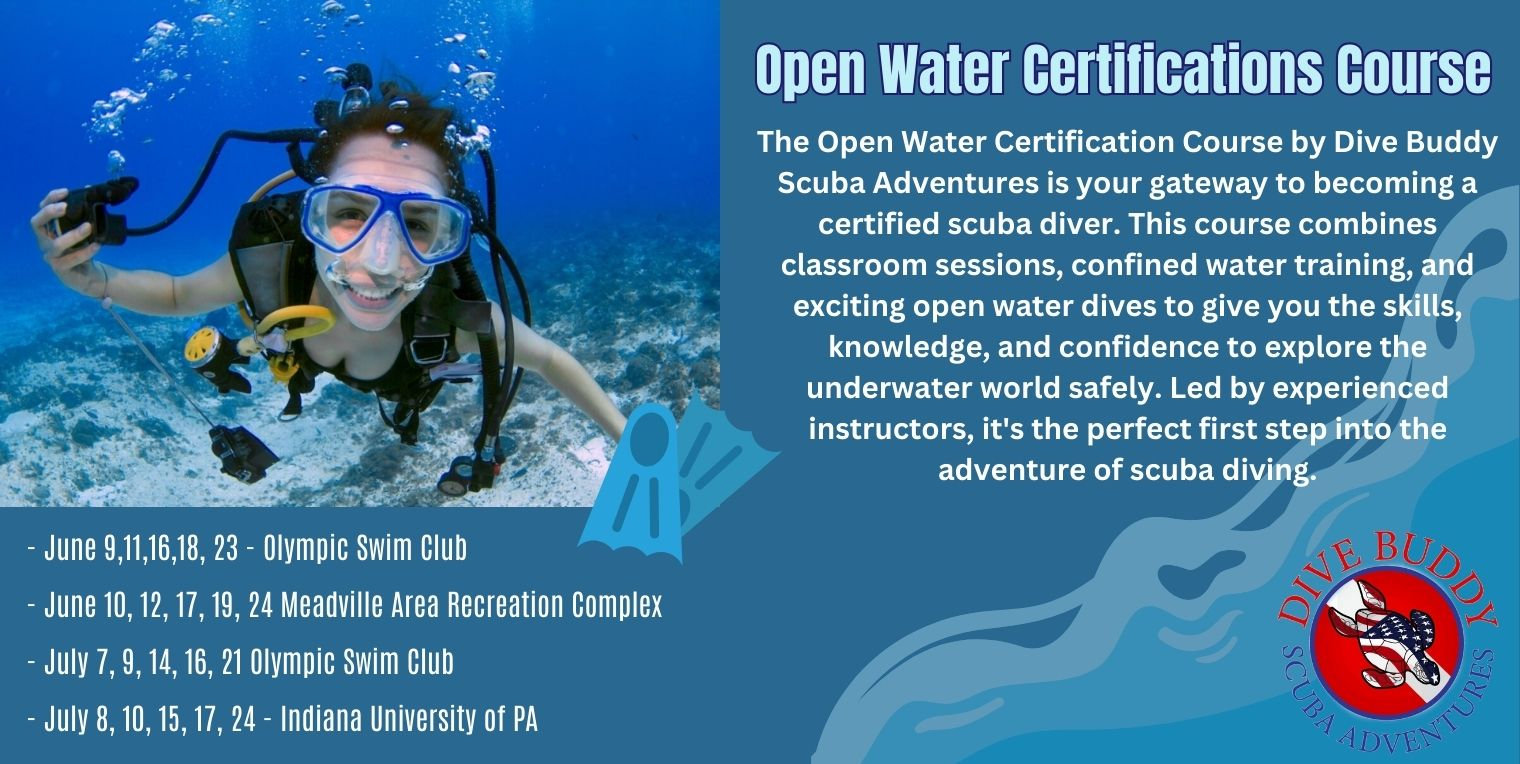 Open Water Certifications Course | Buddyscuba