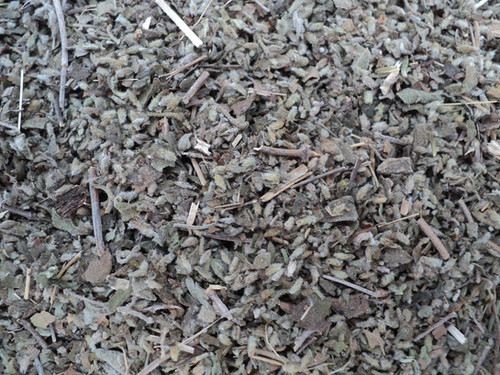 Peperina | Tea Blends For You