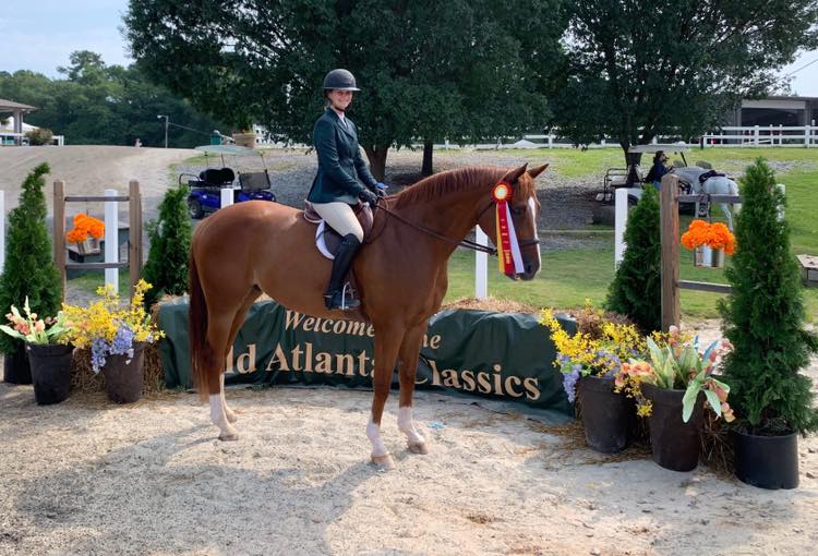 HOME | Wilson Show Stable