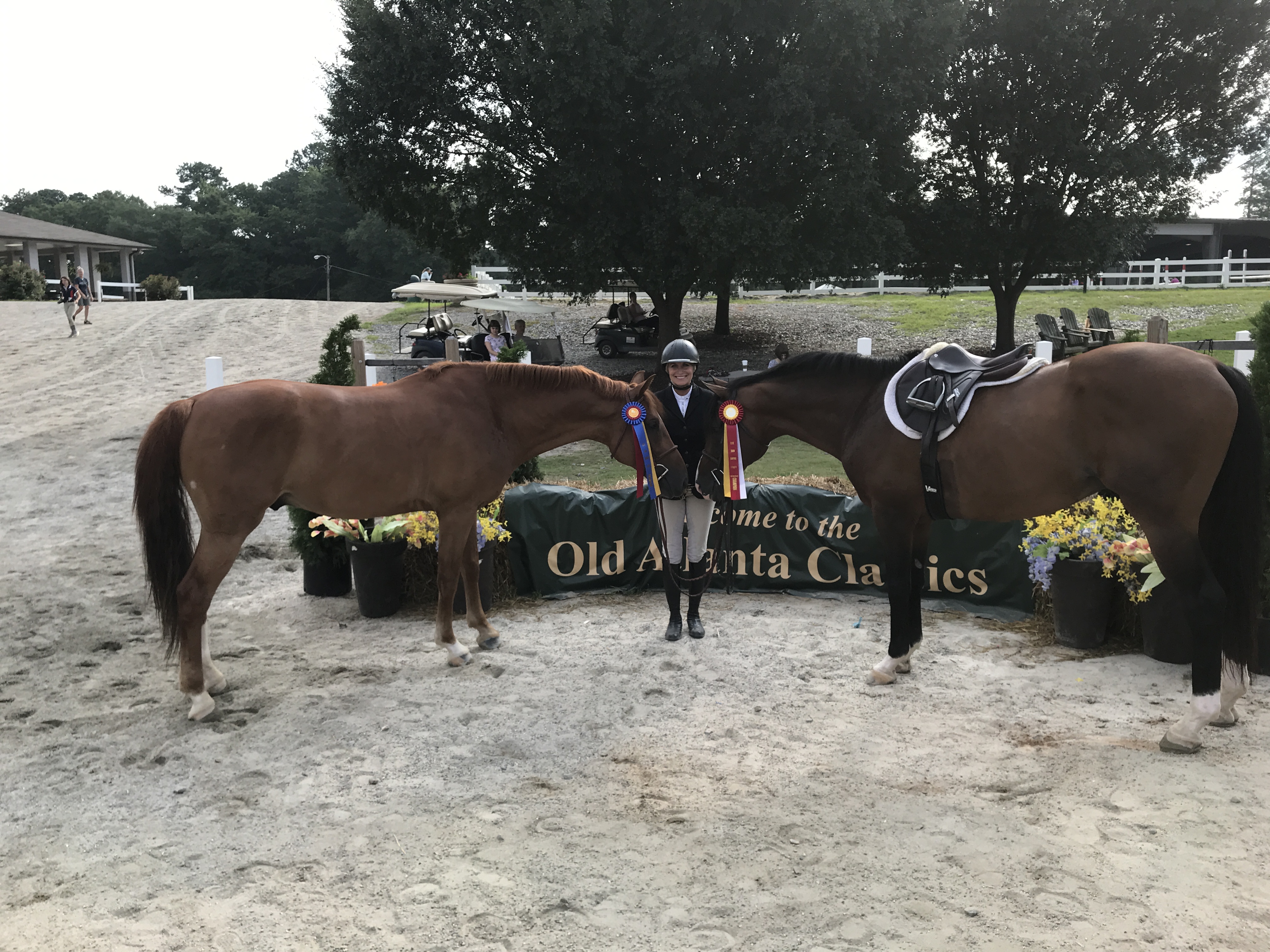 HOME | Wilson Show Stable