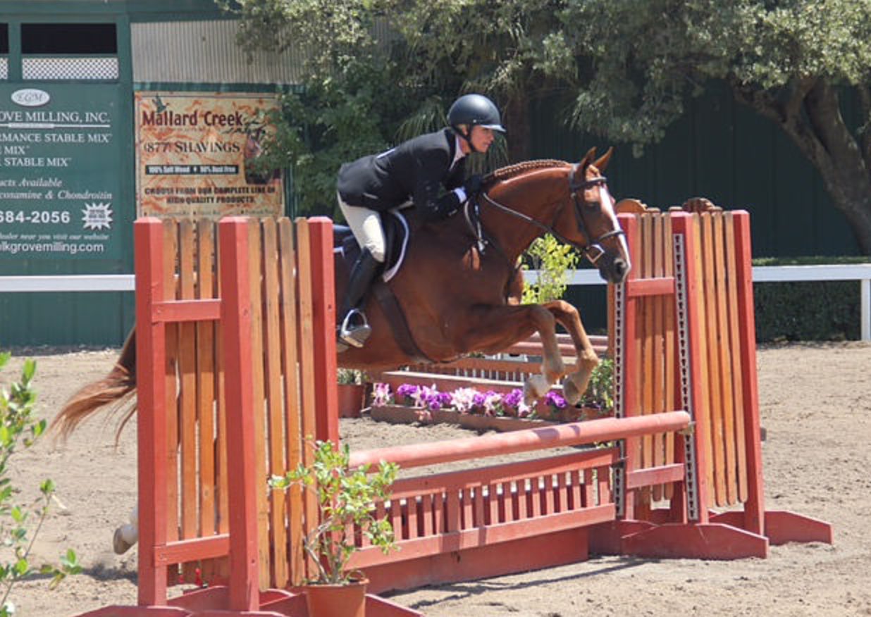 HOME | Wilson Show Stable