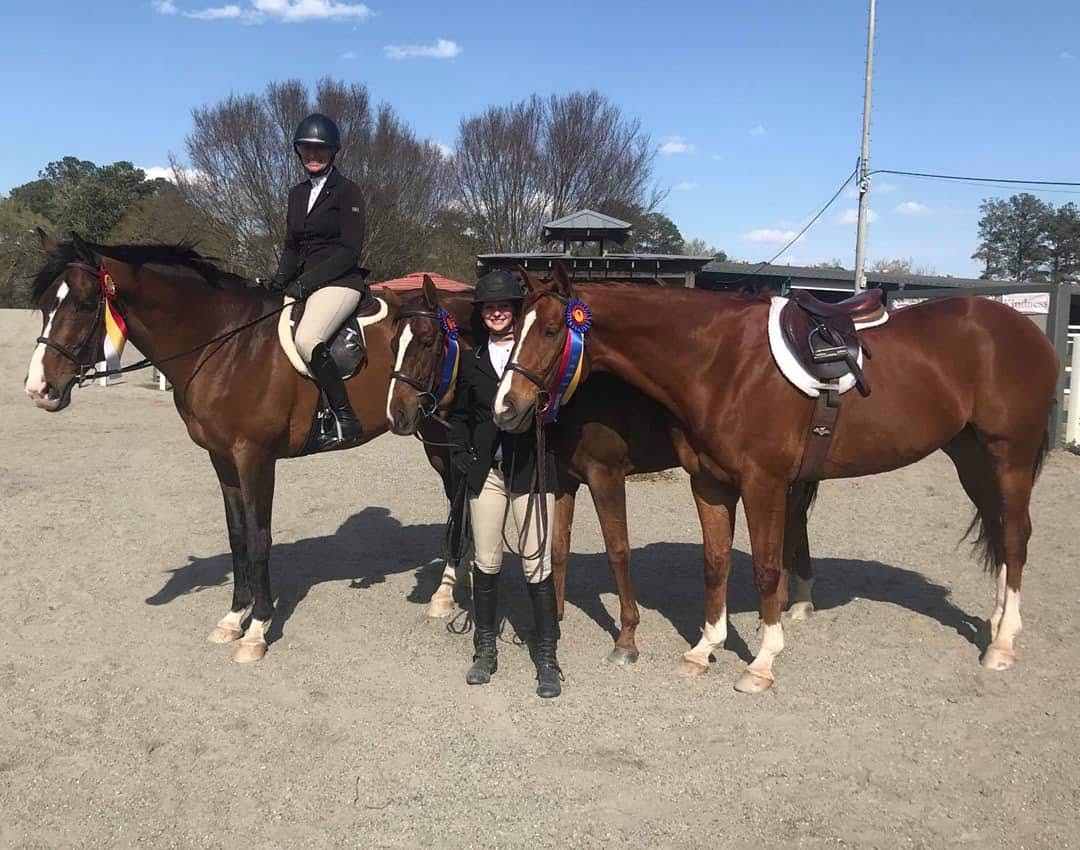 HOME | Wilson Show Stable