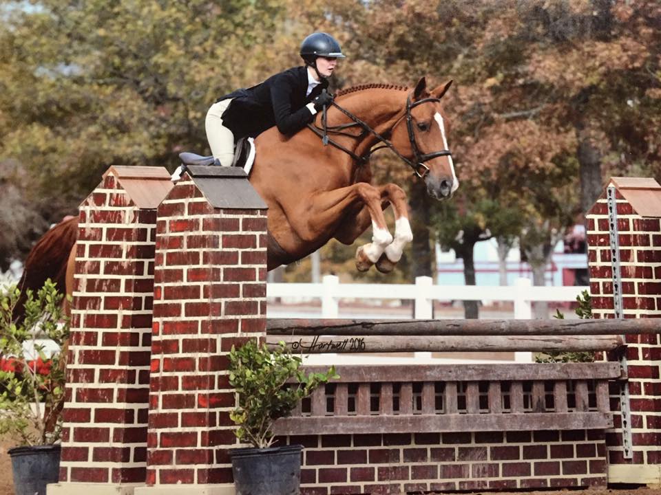 HOME | Wilson Show Stable