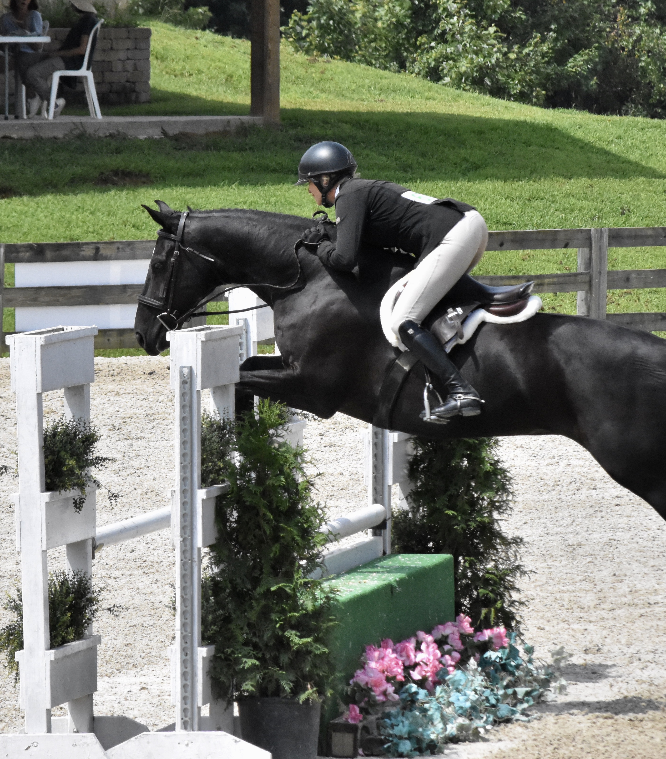 HOME | Wilson Show Stable