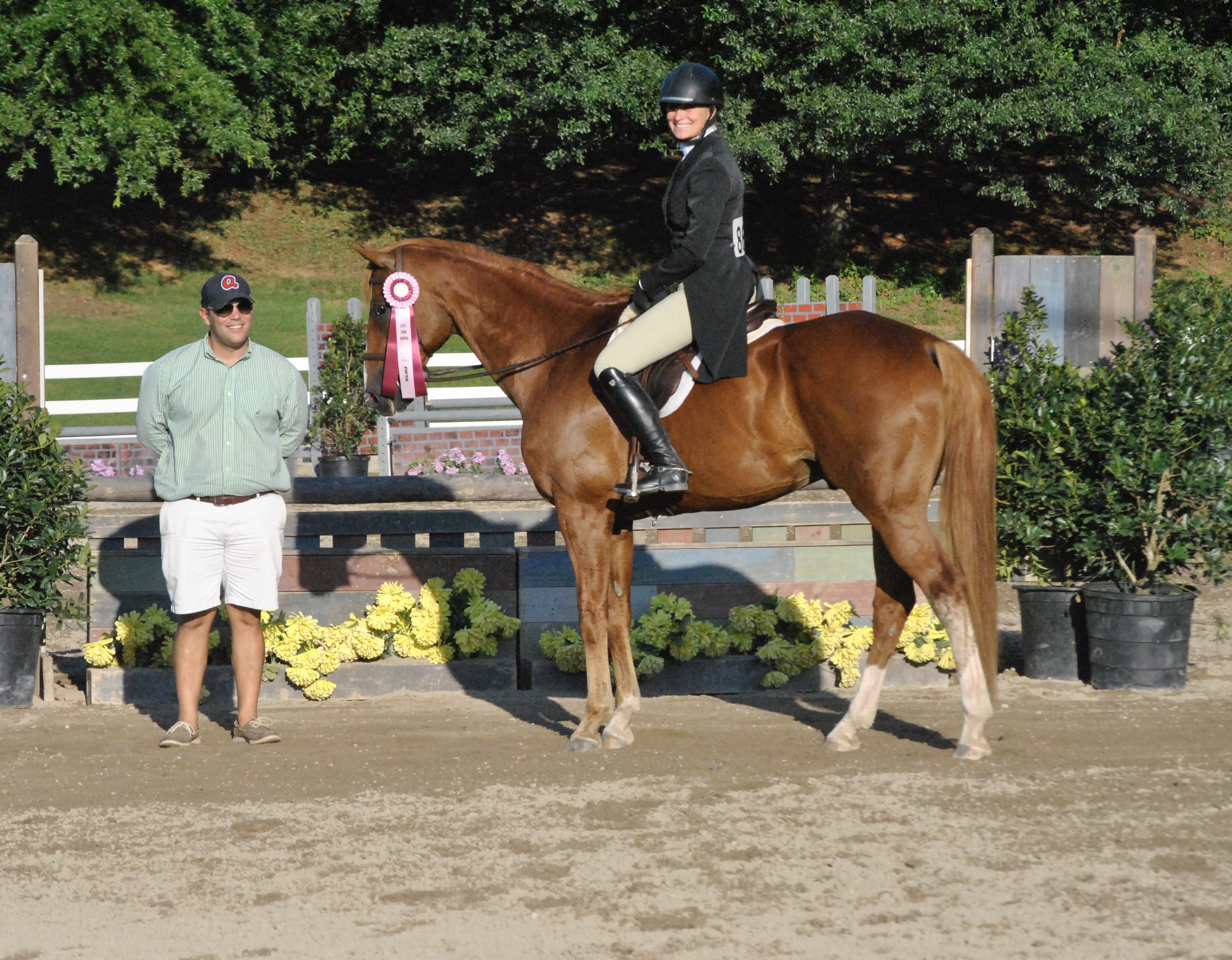 HOME | Wilson Show Stable