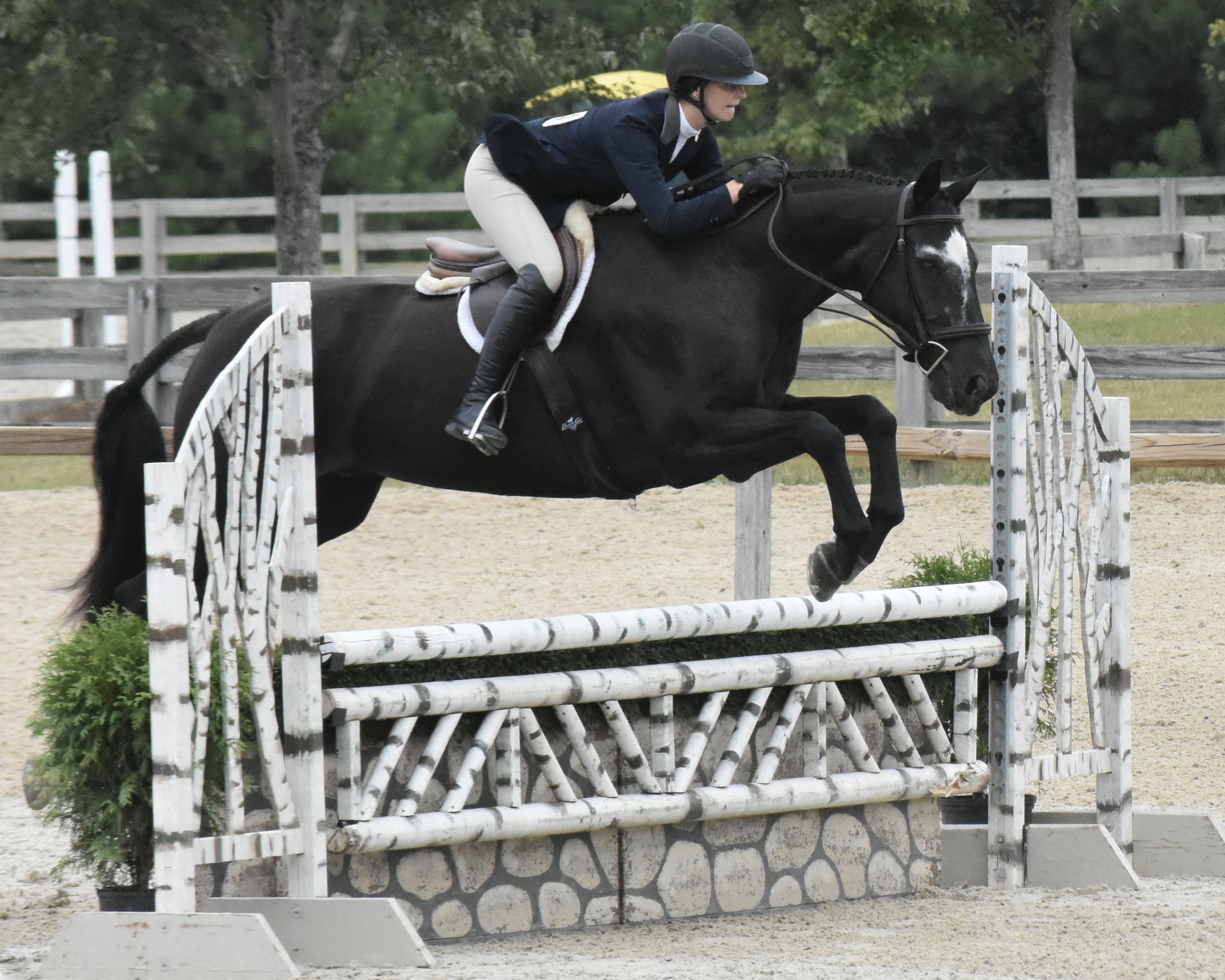 HOME | Wilson Show Stable