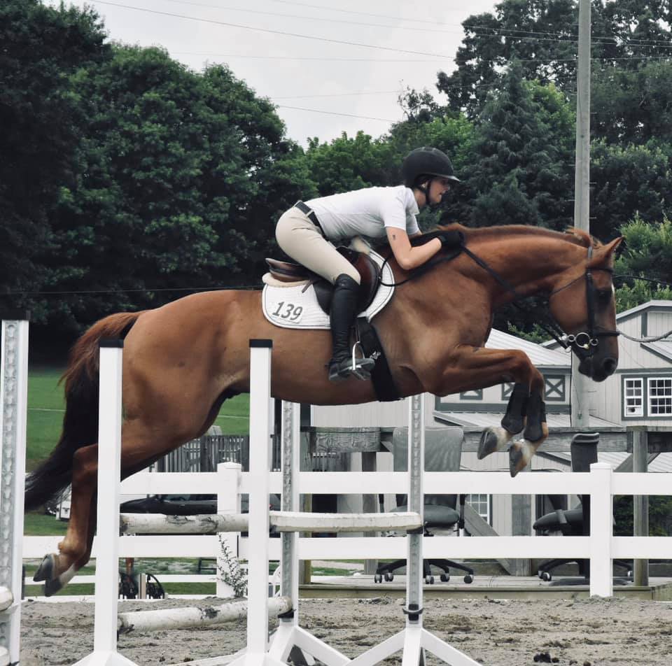 HOME | Wilson Show Stable