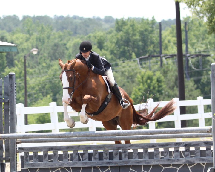 HOME | Wilson Show Stable