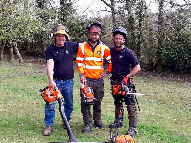 lightwoods tree surgery