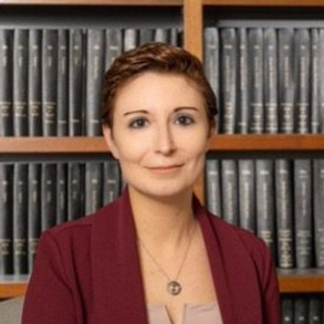 About the BWBA | Brooklyn Women's Bar