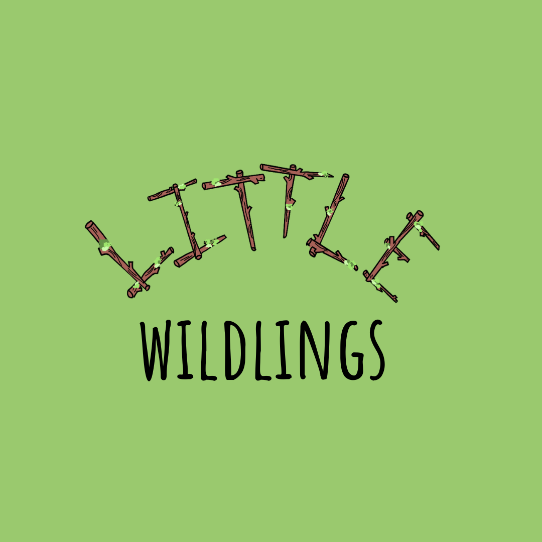Nature School | Little Wildlings
