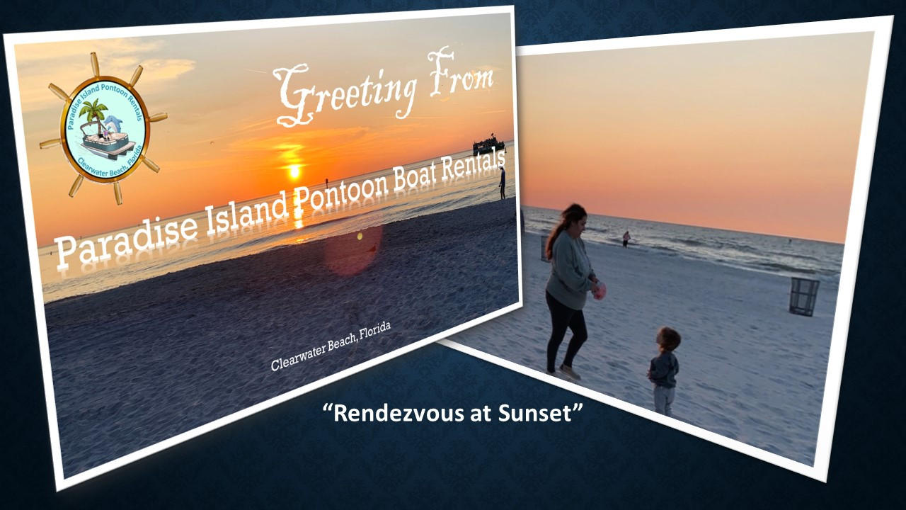 Three Rocker Sandbar | Paradise Island Pontoon Rentals | Clearwater ...