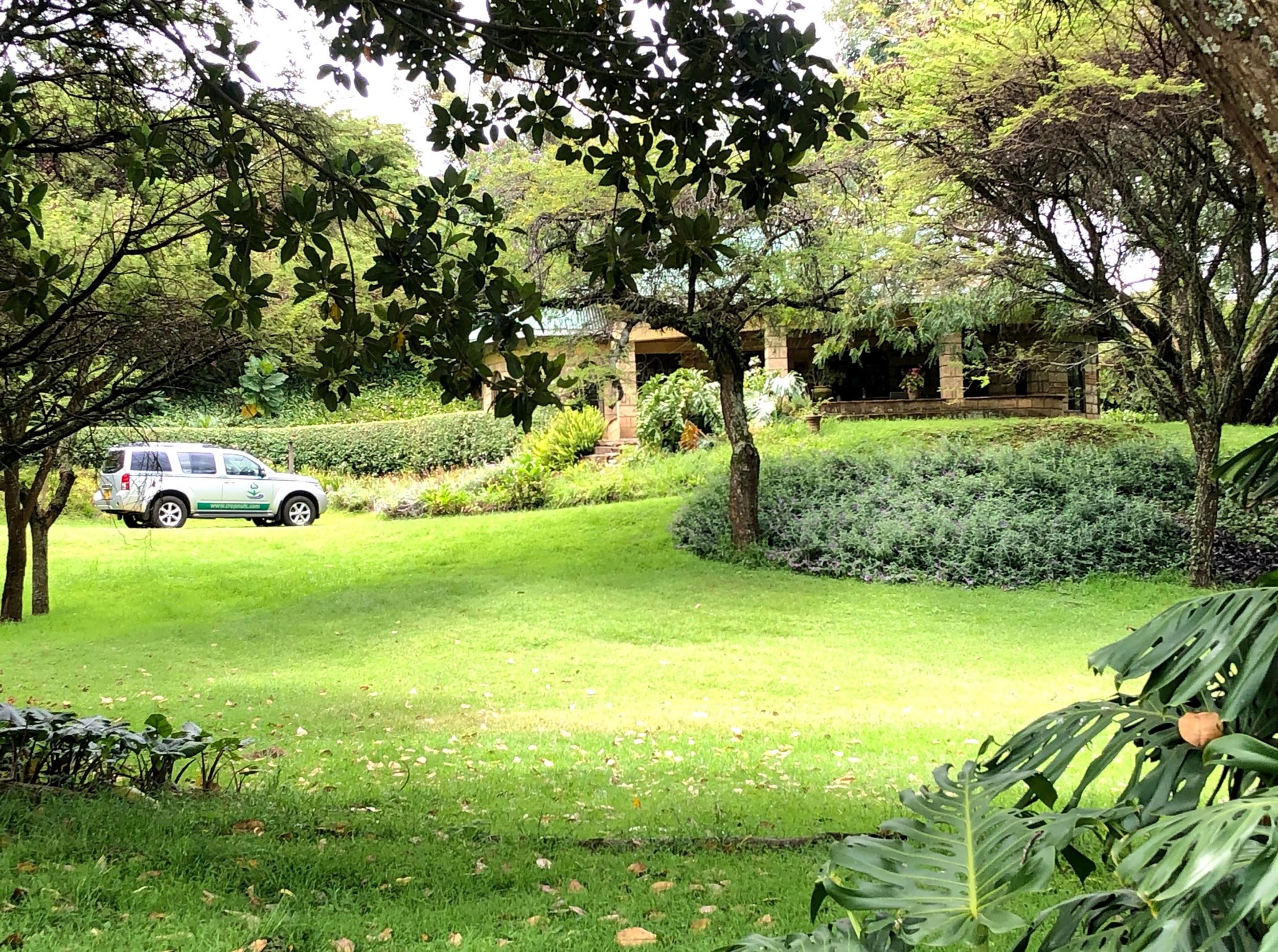 Our adventures in Africa | Living in Africa