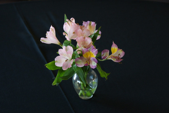 NUTSEA National Utility Training & Safety Education Association